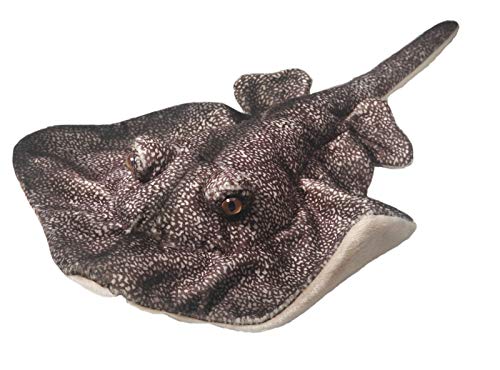 Rochen Plüschtiere ᐅ Plueschtier.net