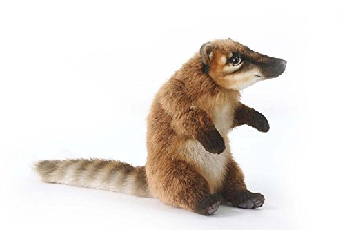 Nasenbär Plüschtiere ᐅ Plueschtier.net